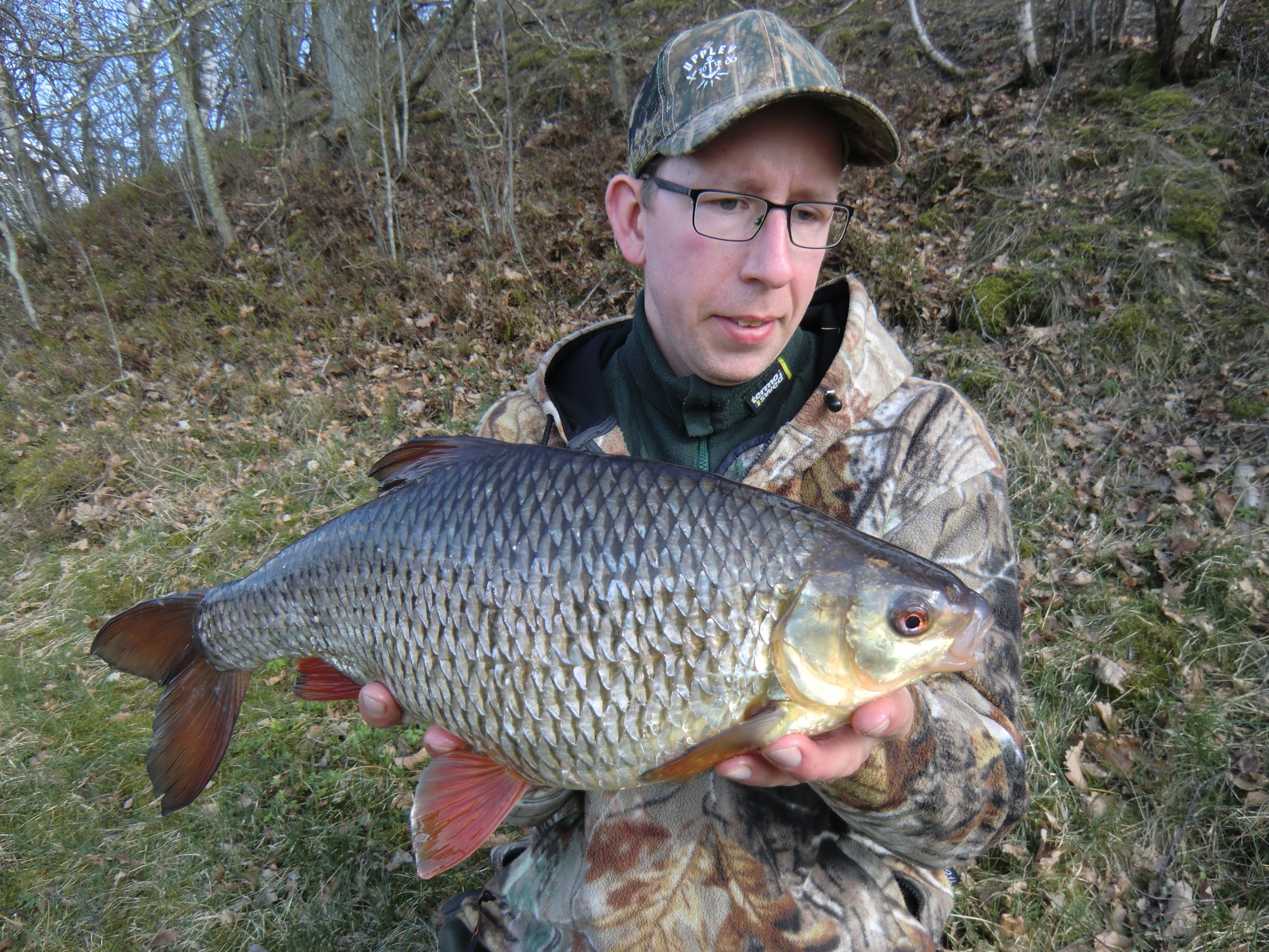 Mega Mört - Swedbait